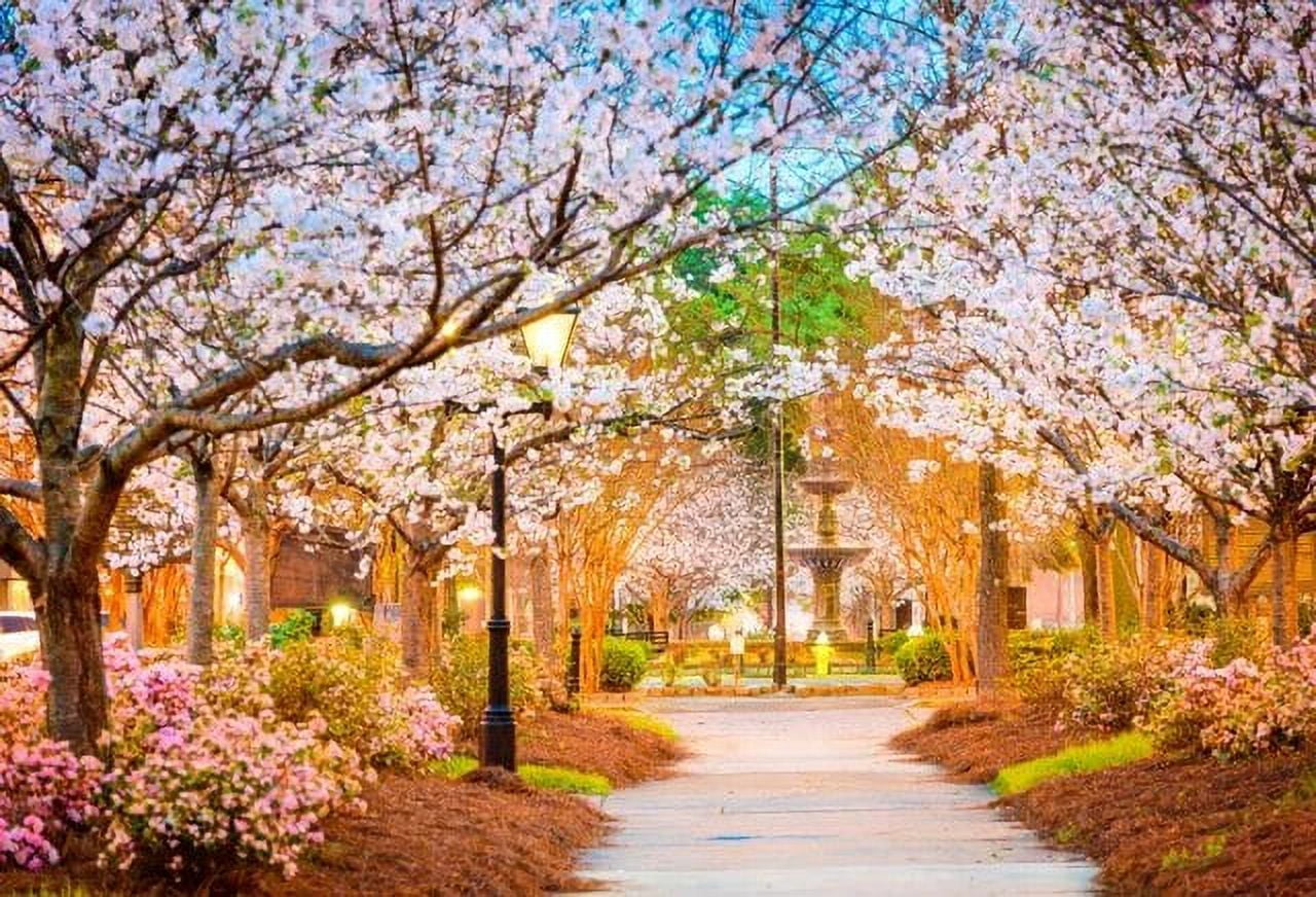 Spring Forest Park Photography Backdrop Blooming Flowers Jungle Garden ...