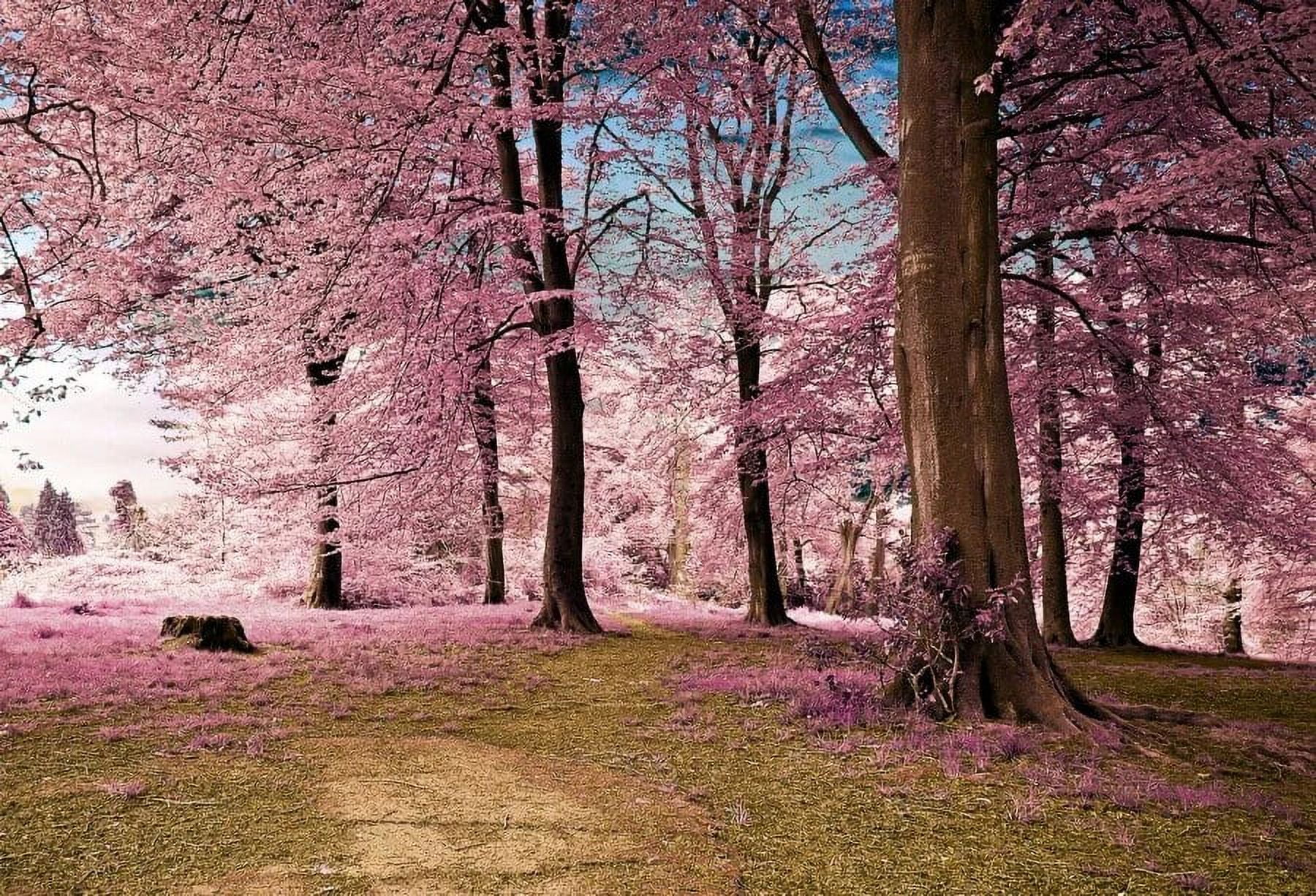 Spring Forest Park Photography Backdrop Blooming Flowers Jungle Garden ...