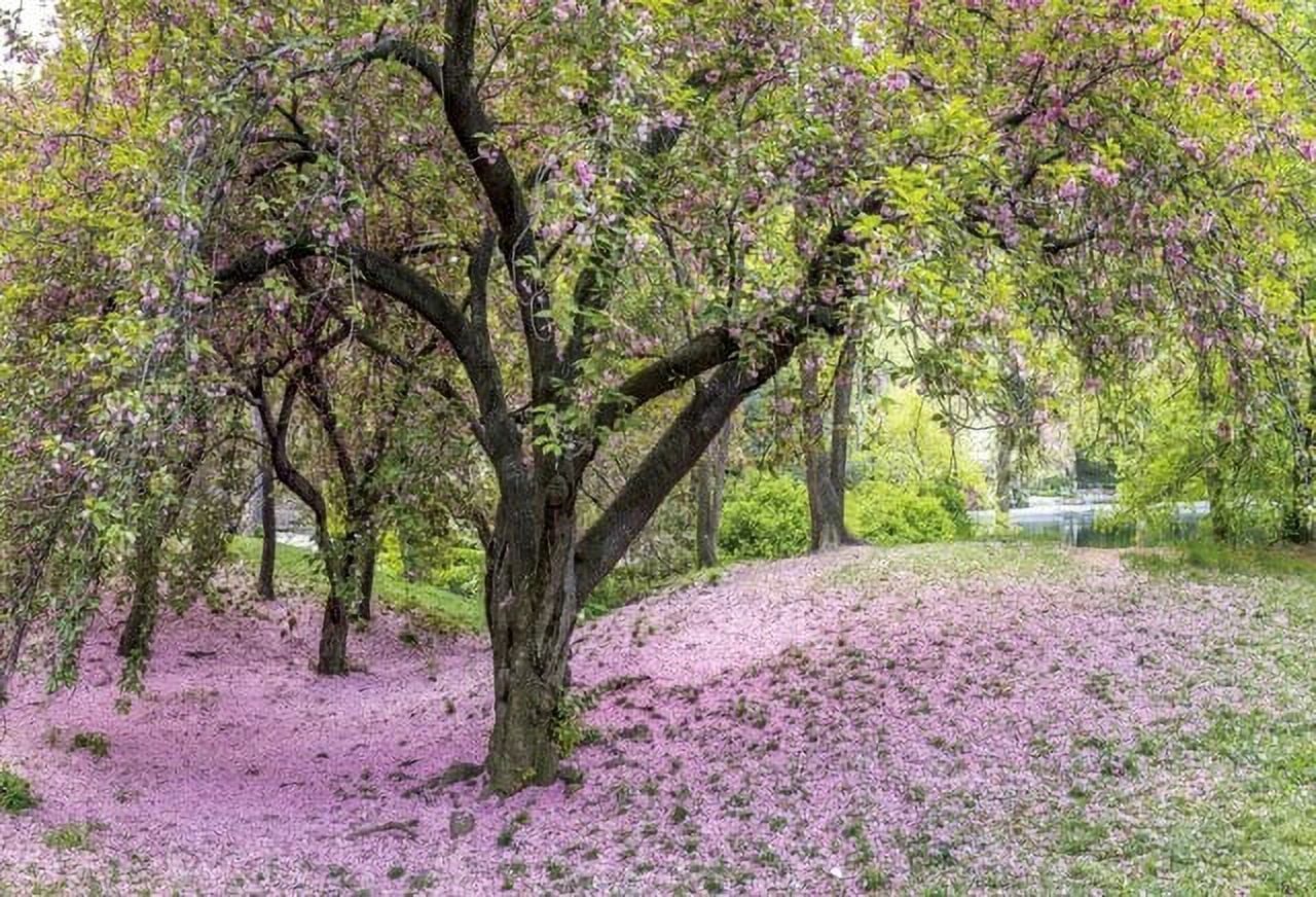 Spring Forest Park Photography Backdrop Blooming Flowers Jungle Garden ...