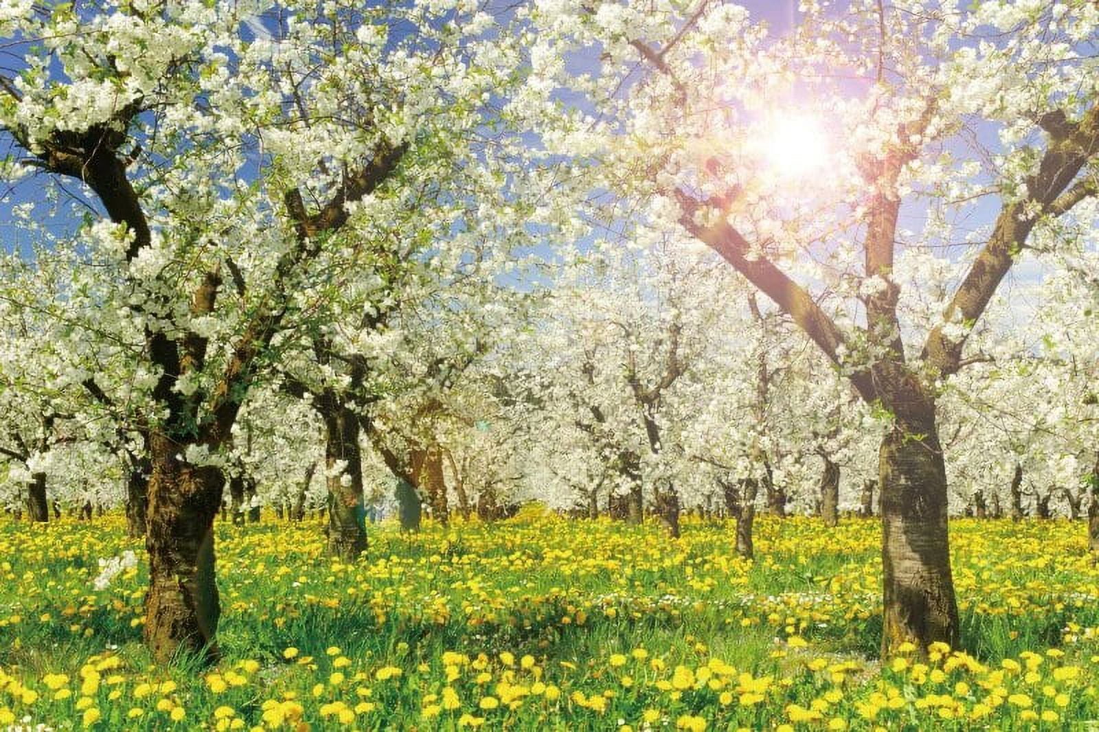 Spring Forest Park Photography Backdrop Blooming Flowers Jungle Garden ...