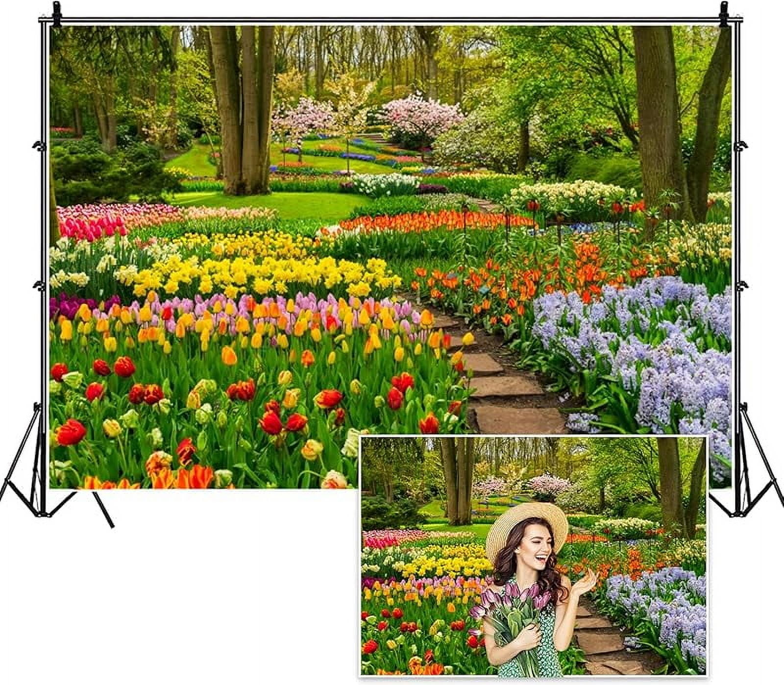 Spring Forest Park Photography Backdrop Blooming Tulip Flowers Jungle ...