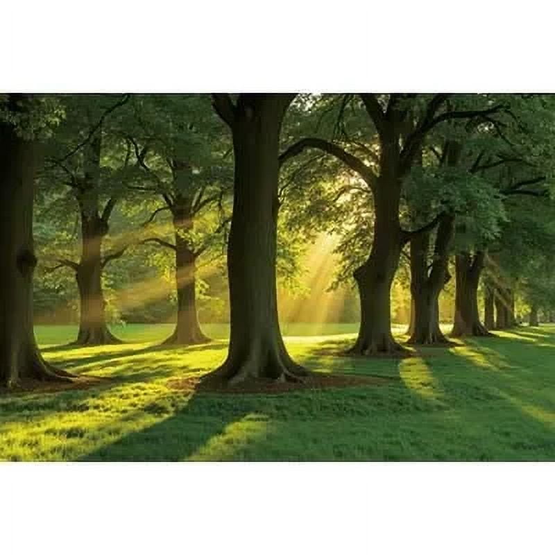 Spring Forest Photo Backdrop Natural Gard Park Mountain Background Home ...