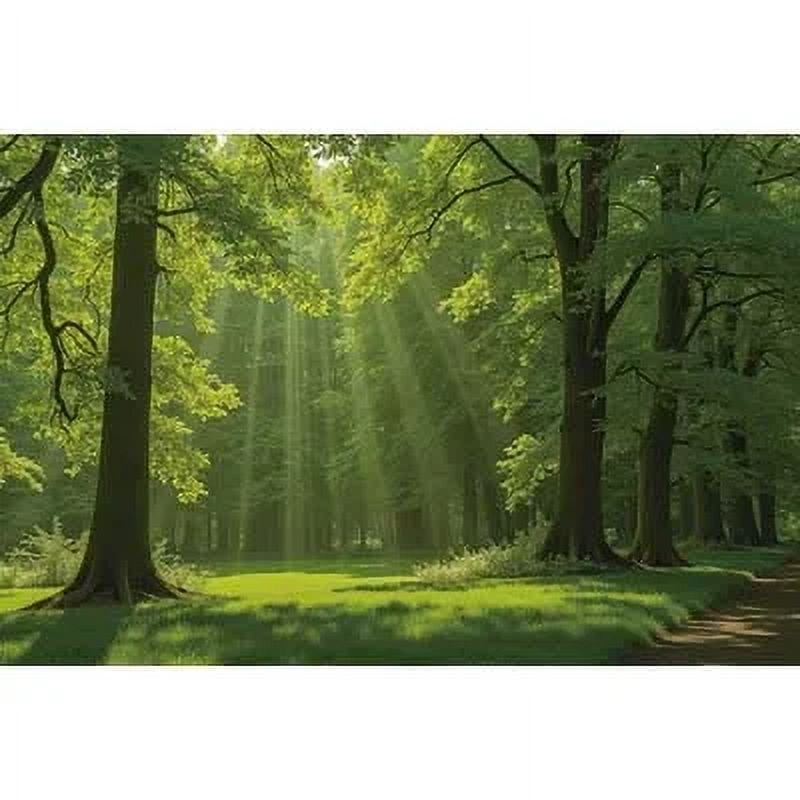 Spring Forest Photo Backdrop Natural Gard Park Mountain Background Home ...
