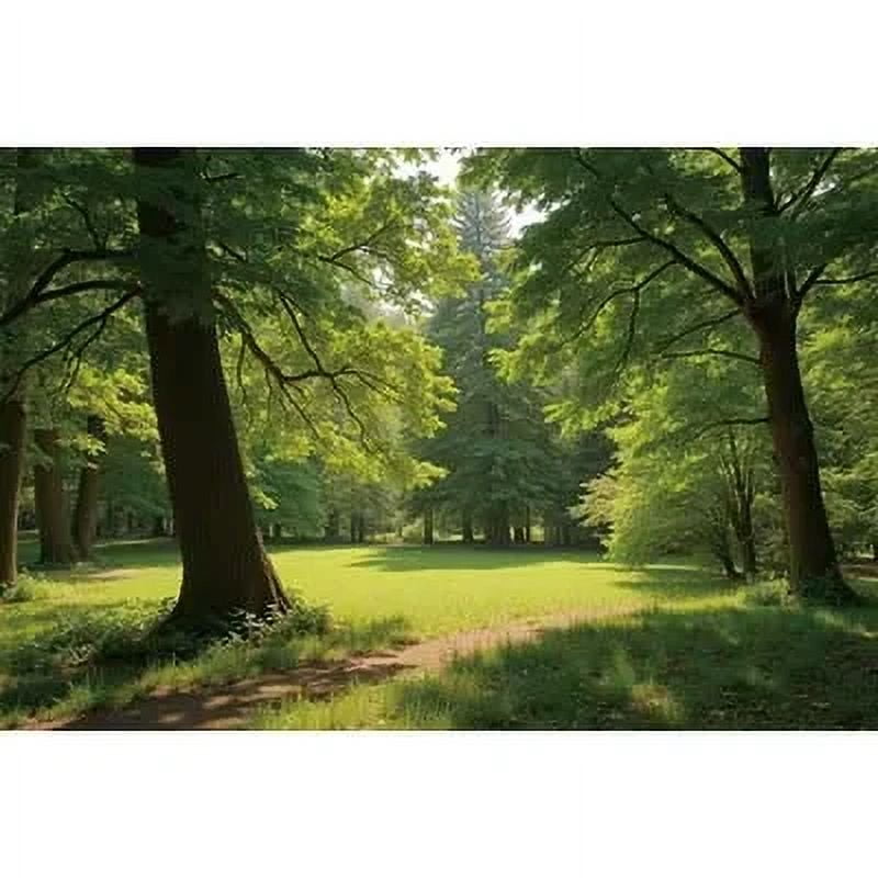 Spring Forest Photo Backdrop Natural Gard Park Mountain Background Home ...