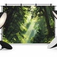 Spring Forest Photography Backdrop 8x6FT, Oil Painting Spring Sunlight ...