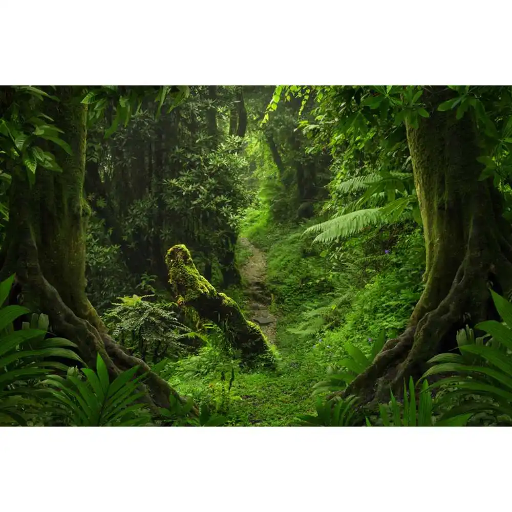 Spring Forest Photography Backdrop Natural Jungle Landscape Photocall ...