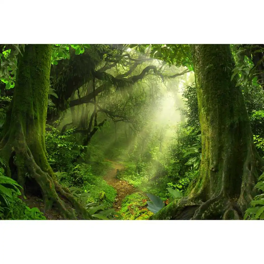 Spring Forest Photography Backdrop Natural Jungle Landscape Photocall ...