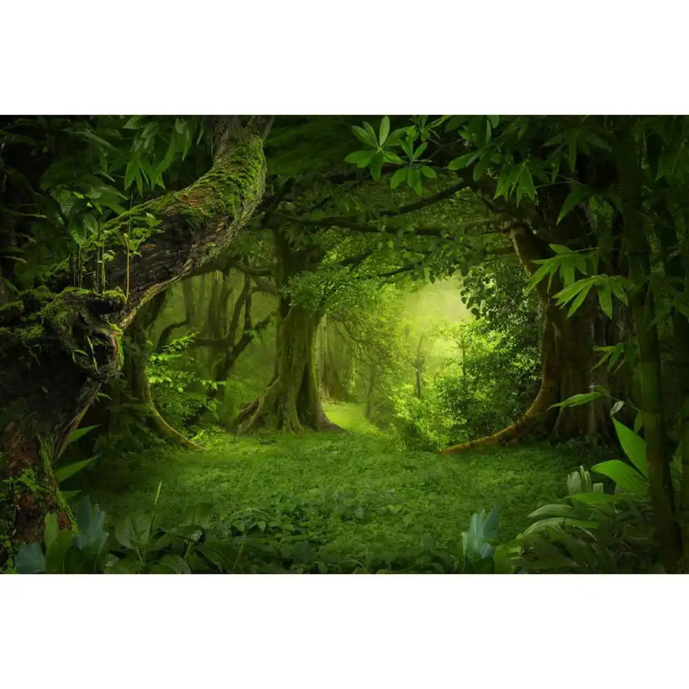 Spring Forest Photography Backdrop Natural Jungle Landscape Photocall ...