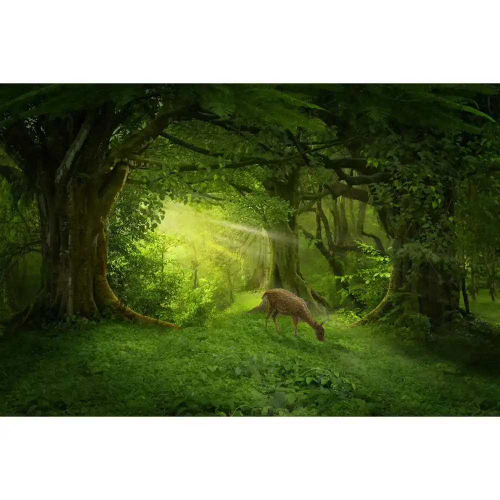 Spring Forest Photography Backdrop Natural Jungle Landscape Photocall ...