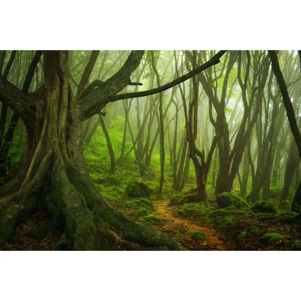 Spring Forest Photography Backdrop Natural Jungle Landscape Photocall ...