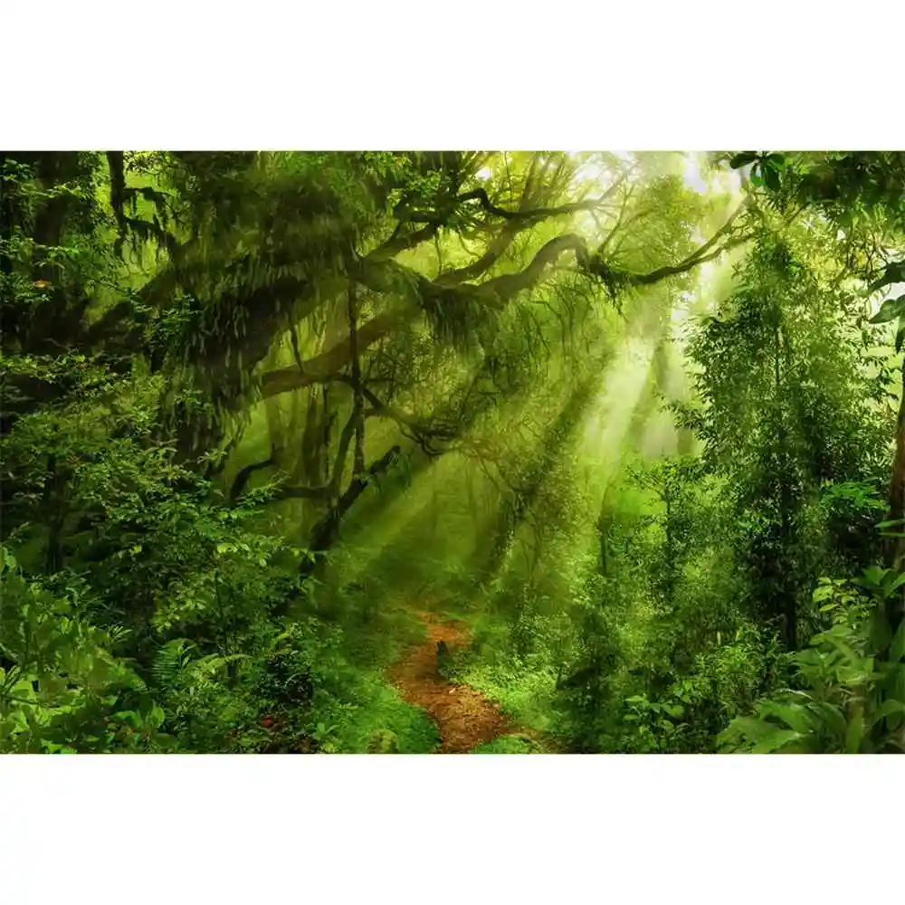 Spring Forest Photography Backdrop Natural Jungle Landscape Photocall ...