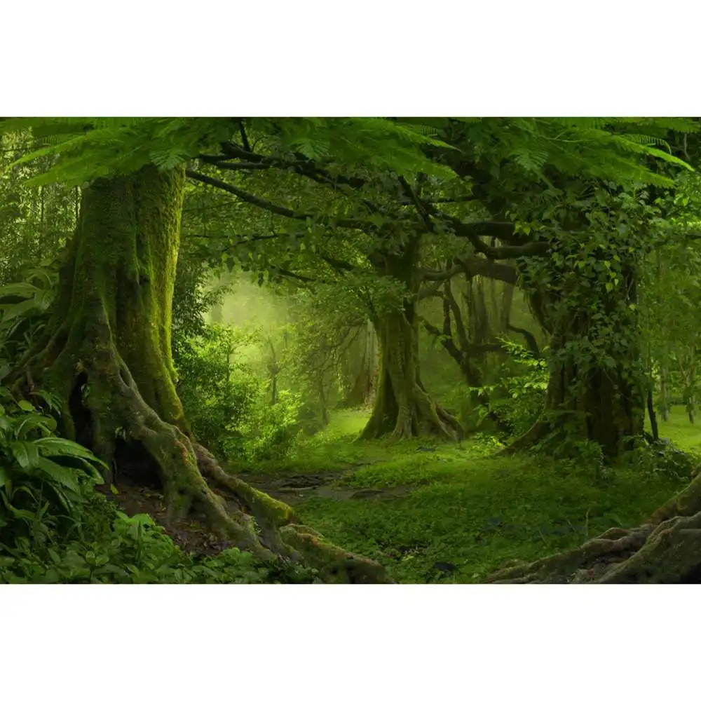 Spring Forest Photography Backdrop Natural Jungle Landscape Photocall ...