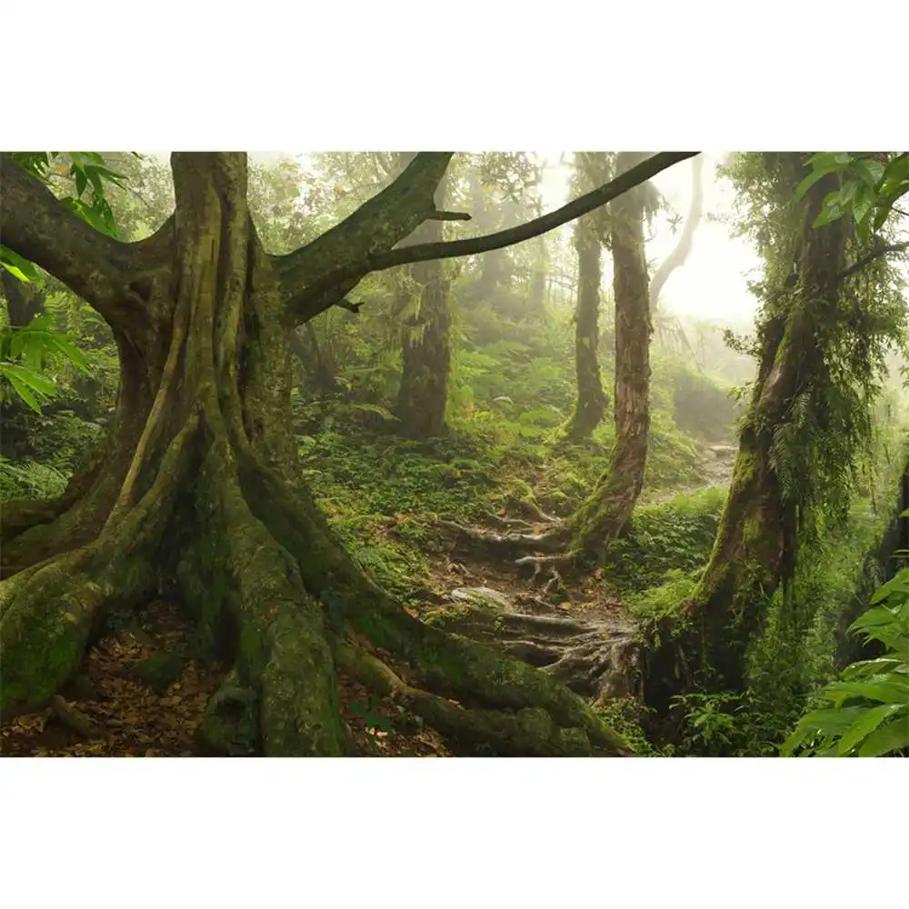 Spring Forest Photography Backdrop Natural Jungle Landscape Photocall ...