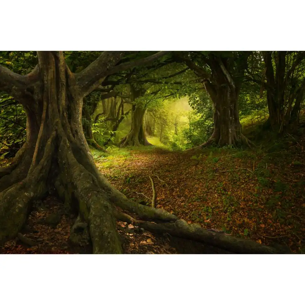 Spring Forest Photography Backdrop Natural Jungle Landscape Photocall ...