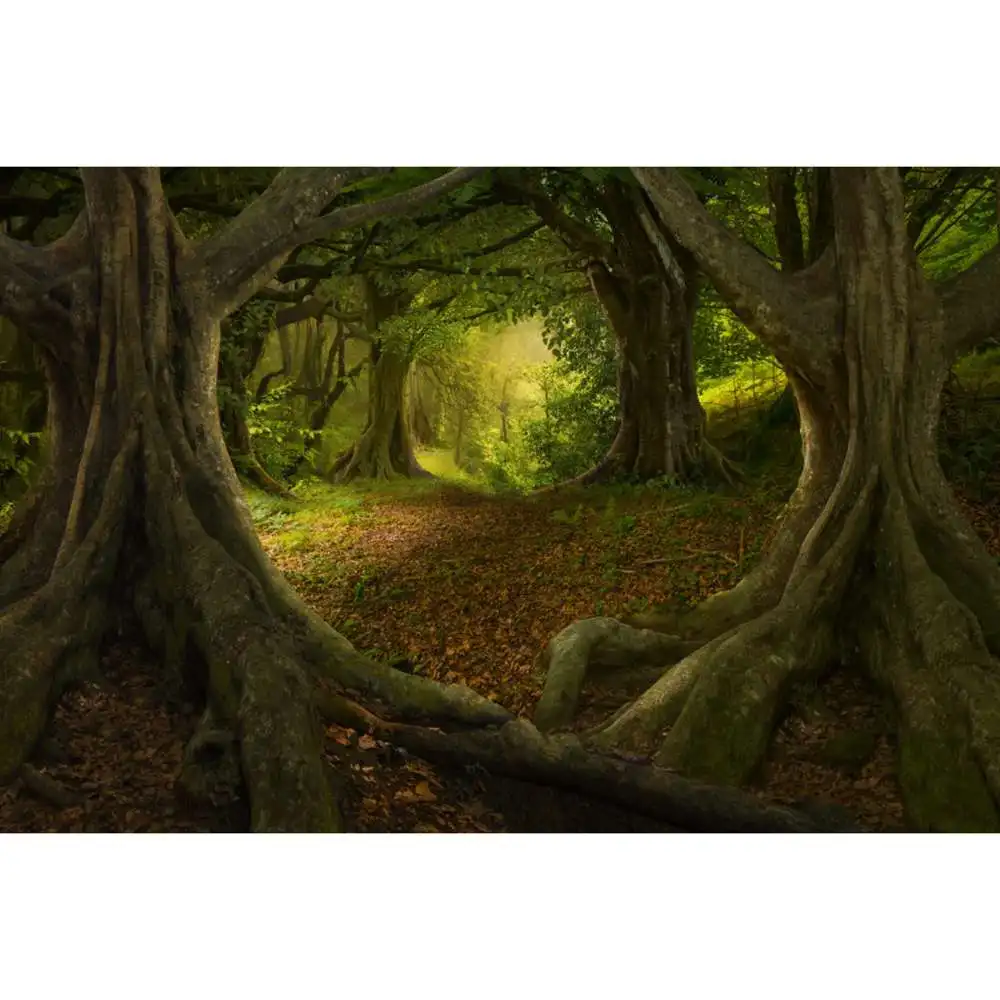 Spring Forest Photography Backdrop Natural Jungle Landscape Photocall ...