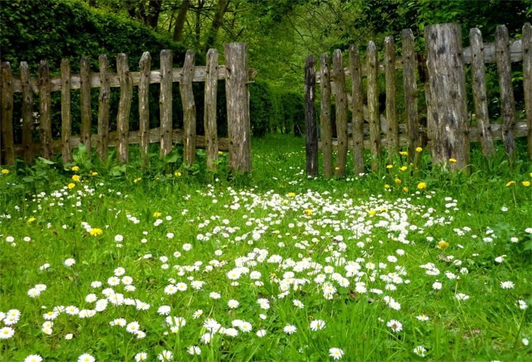 Spring Garden Daisy Flower Backdrop Rustic Wood Fence Summer Meadow ...