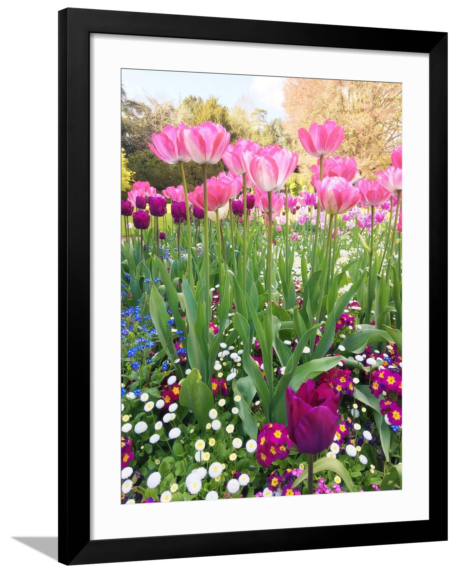 Art.com Spring Garden Art Print by Sarah Jane, Black Frame Wall Art, 32 ...