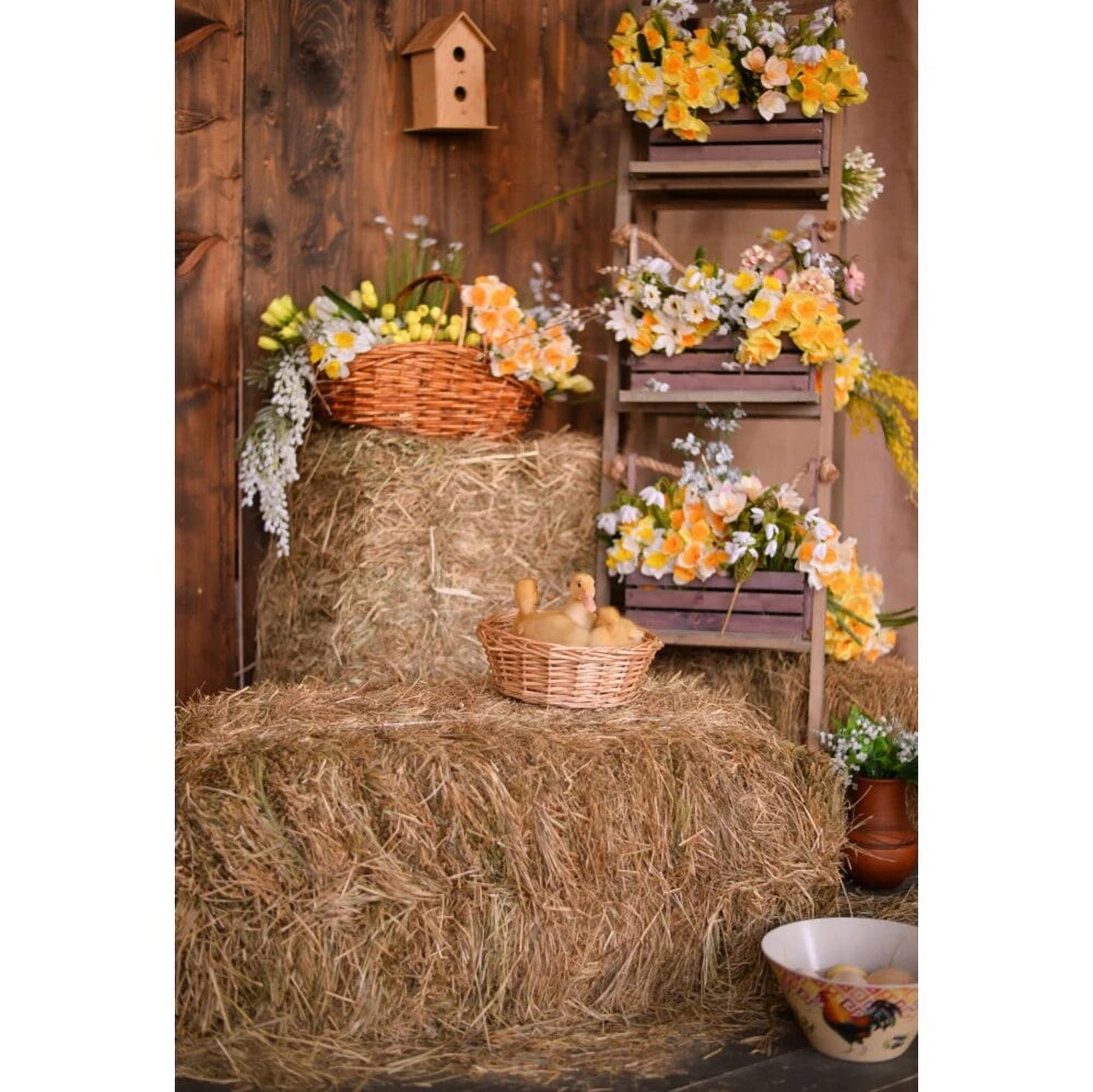 Spring Garden Lawn Backdrop Easter Background Beach Bunny Eggs Party ...