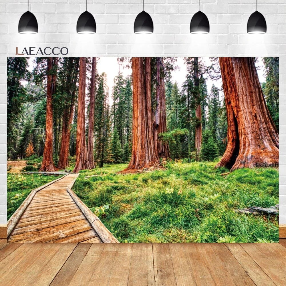 Spring Garden Park Scenic Backdrop Green Grass Flowers Landscape ...