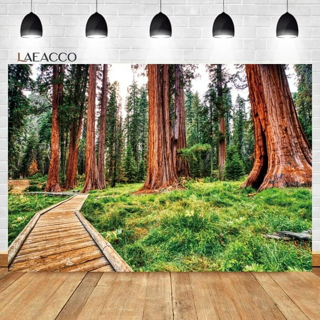 Spring Garden Park Scenic Backdrop Green Grass Flowers Landscape ...