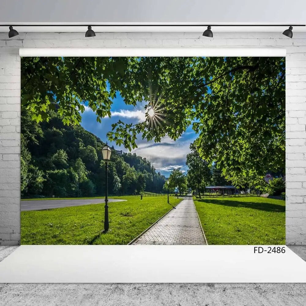 Spring Grass Path Woods Park Sun Scenery Portrait Children Young ...