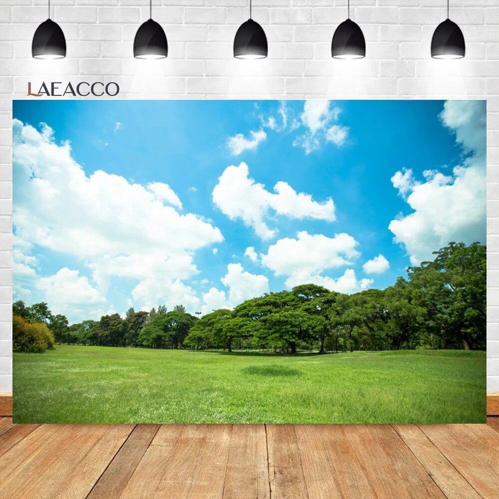 Spring Grassland Photography Background Garden Plant Meadow Sky Cloud ...