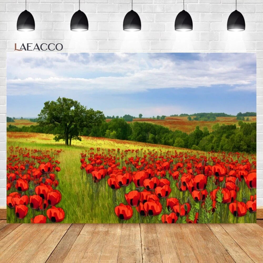 Spring Grassland Photography Background Garden Plant Meadow Sky Cloud ...