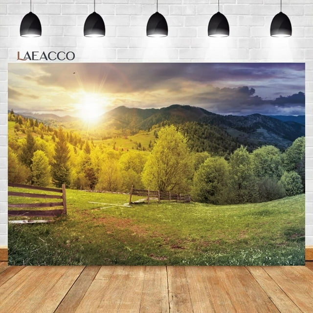 Spring Grassland Photography Background Garden Plant Meadow Sky Cloud ...