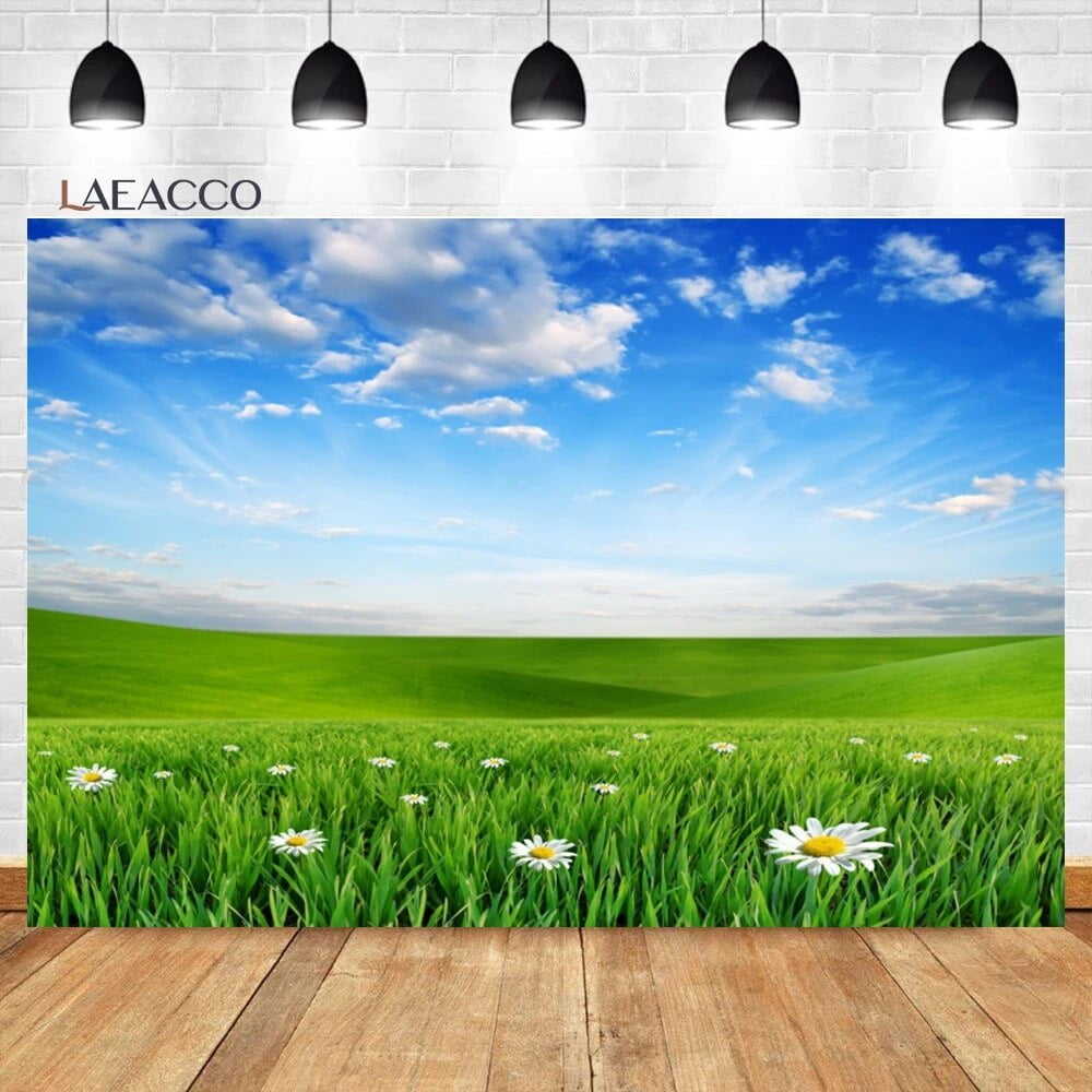 Spring Grassland Photography Background Garden Plant Meadow Sky Cloud ...