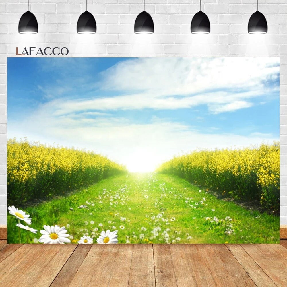 Spring Grassland Photography Background Garden Plant Meadow Sky Cloud ...