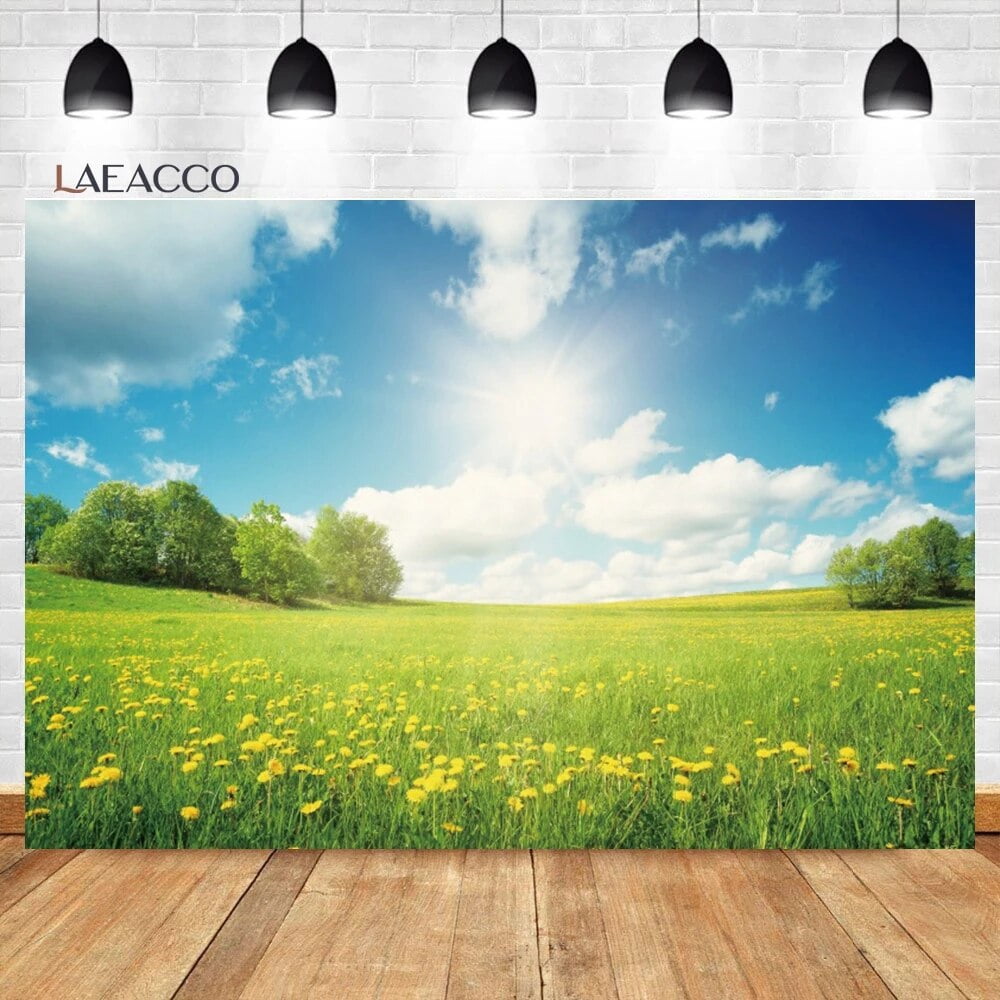 Spring Grassland Photography Background Garden Plant Meadow Sky Cloud ...