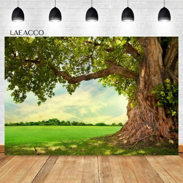 Spring Grassland Photography Background Garden Plant Meadow Sky Cloud ...