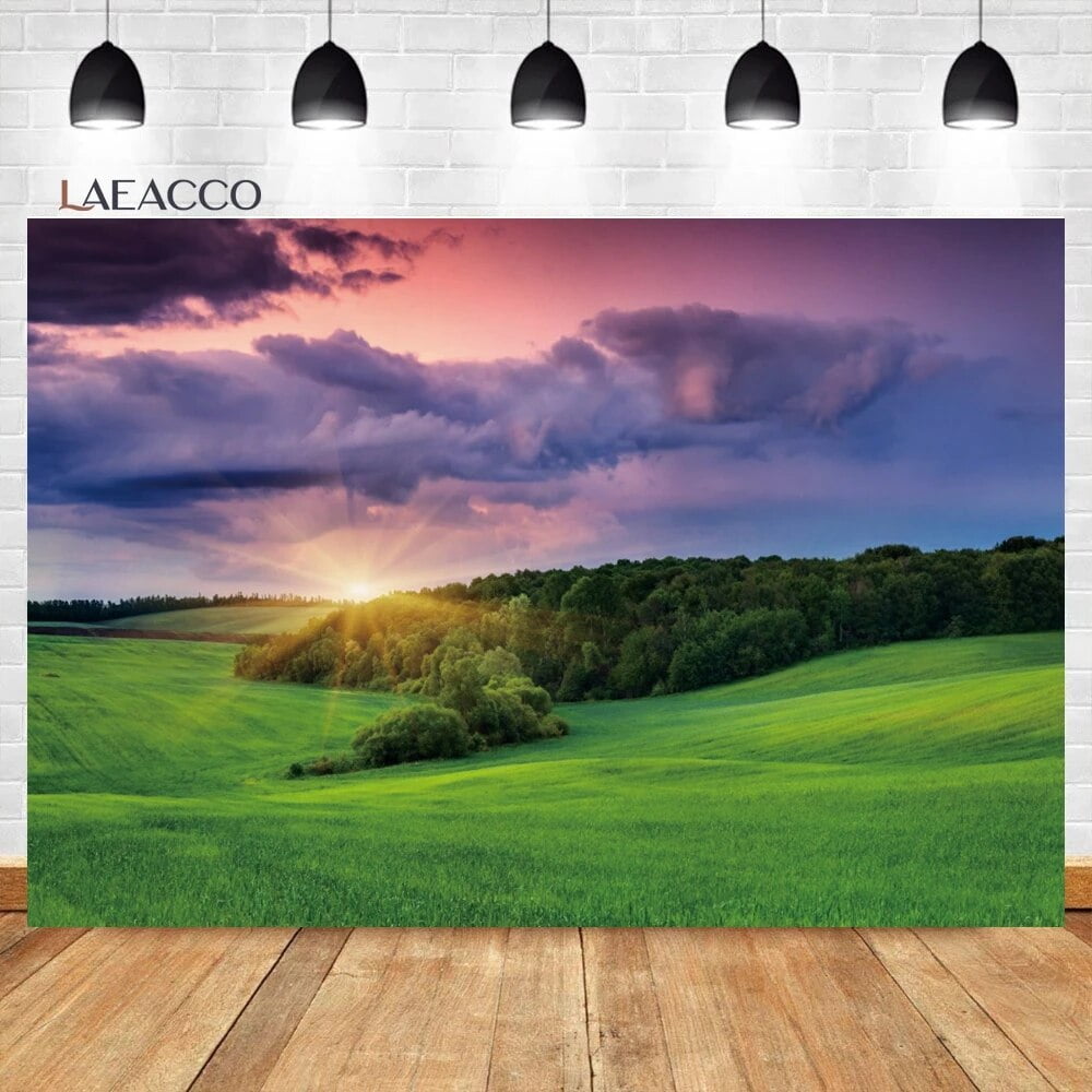 Spring Grassland Photography Background Garden Plant Meadow Sky Cloud ...