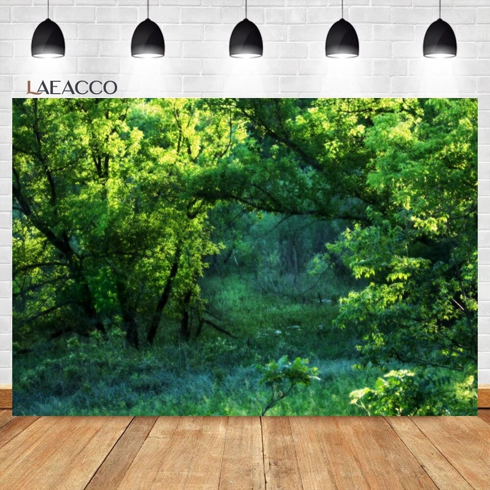 Spring Grassland Photography Background Garden Plant Meadow Sky Cloud ...