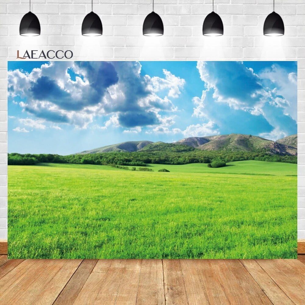 Spring Grassland Photography Background Garden Plant Meadow Sky Cloud ...