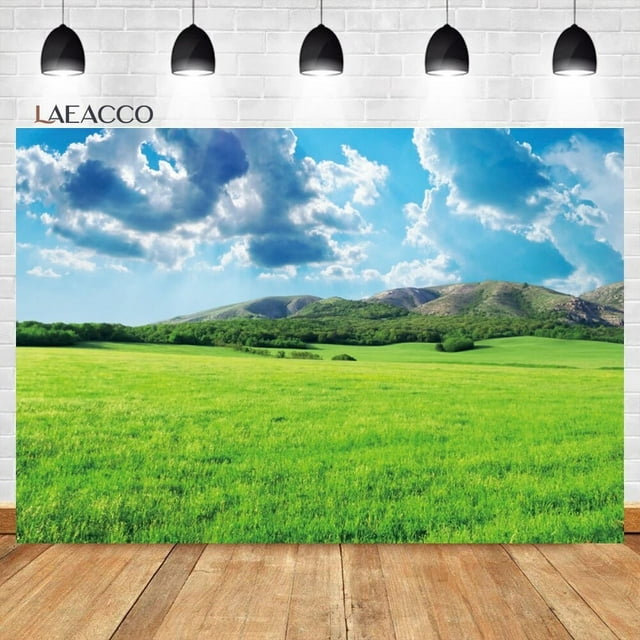 Spring Grassland Photography Background Garden Plant Meadow Sky Cloud ...