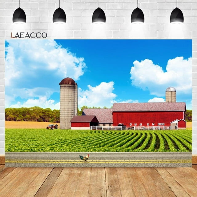 Spring Grassland Photography Background Garden Plant Meadow Sky Cloud ...