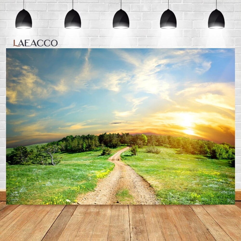 Spring Grassland Photography Background Garden Plant Meadow Sky Cloud ...