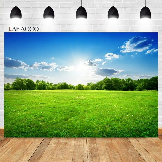Spring Grassland Photography Background Garden Plant Meadow Sky Cloud ...