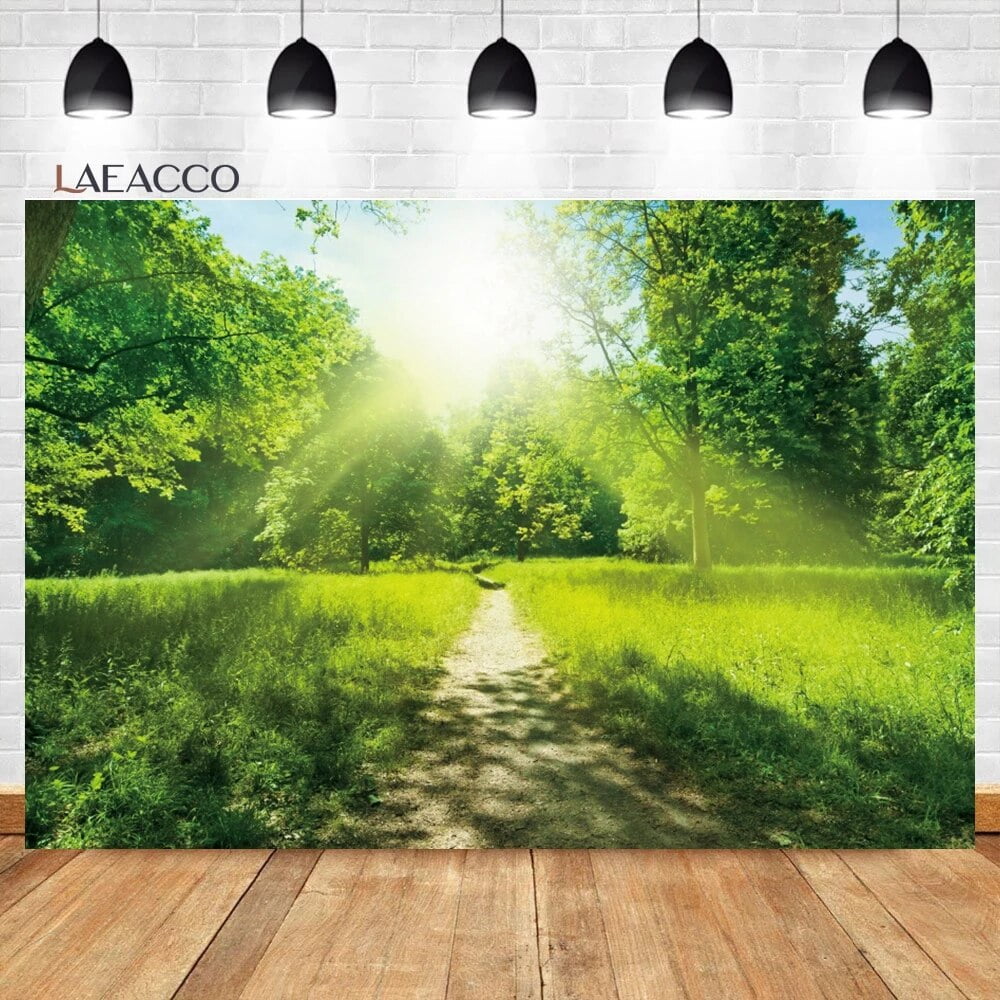 Spring Grassland Photography Background Garden Plant Meadow Sky Cloud ...