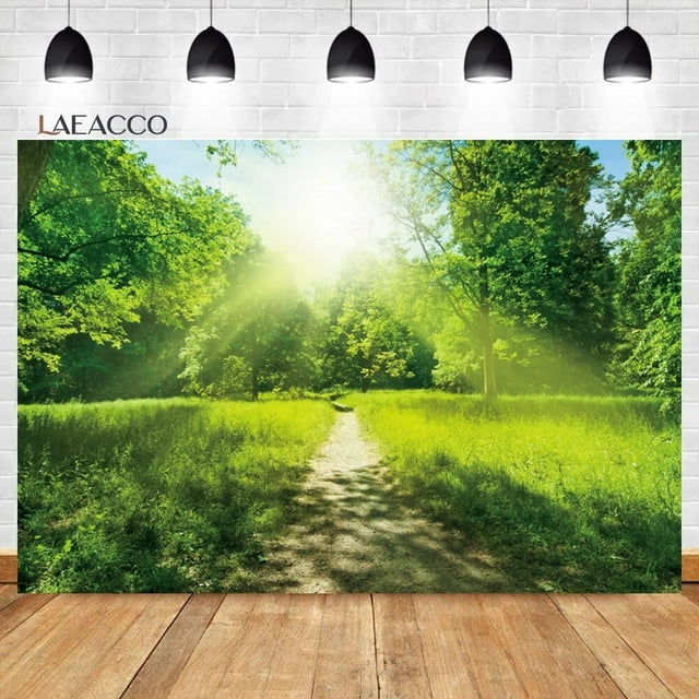 Spring Grassland Photography Background Garden Plant Meadow Sky Cloud ...