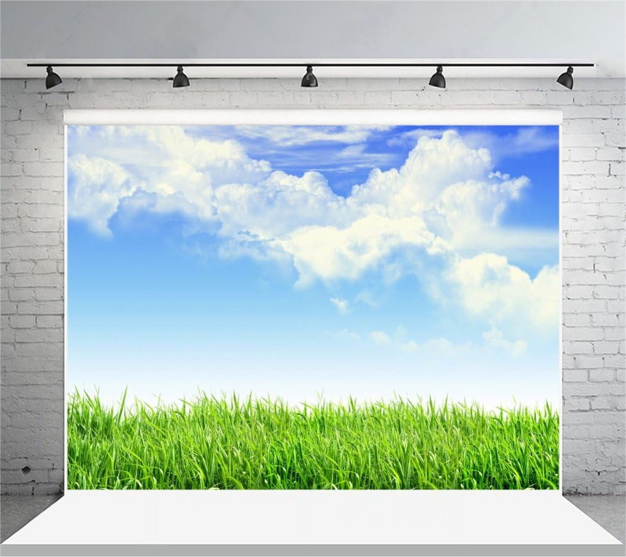 Spring Grassland Photography Background Gardening Plant Meadow Sky ...