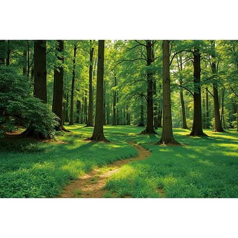 Spring Gre Forest Park Gard Background Natural Rainforest Tree Trunk ...