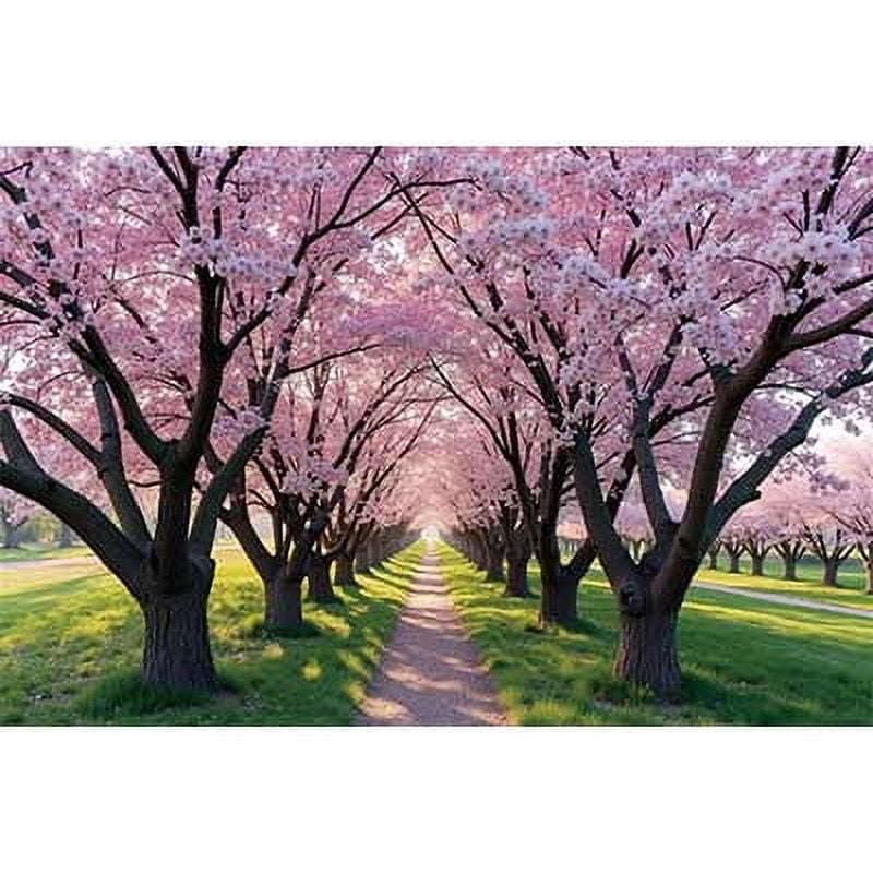 Spring Gre Forest Park Gard Background Natural Rainforest Tree Trunk ...