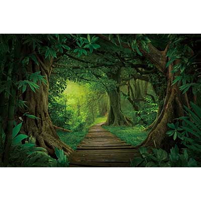 Spring Gre Forest Tree Grass Leaves Backdrop Tropical Rainforest ...