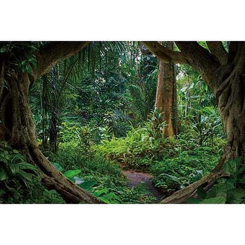 Spring Gre Forest Tree Grass Leaves Backdrop Tropical Rainforest ...