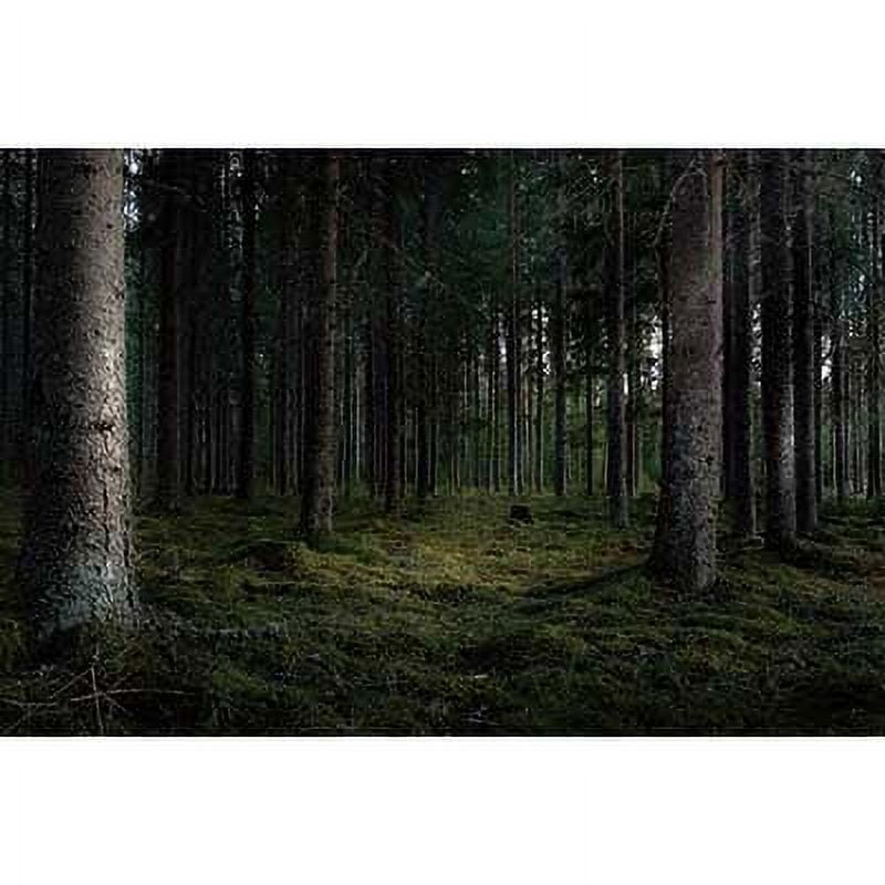 Spring Gre Forest Tree Grass Leaves Backdrop Tropical Rainforest ...