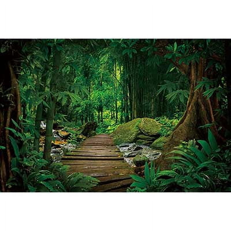 Spring Gre Forest Tree Grass Leaves Backdrop Tropical Rainforest ...