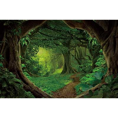 Spring Gre Forest Tree Grass Leaves Backdrop Tropical Rainforest ...