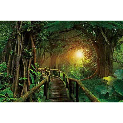 Spring Gre Forest Tree Grass Leaves Backdrop Tropical Rainforest ...